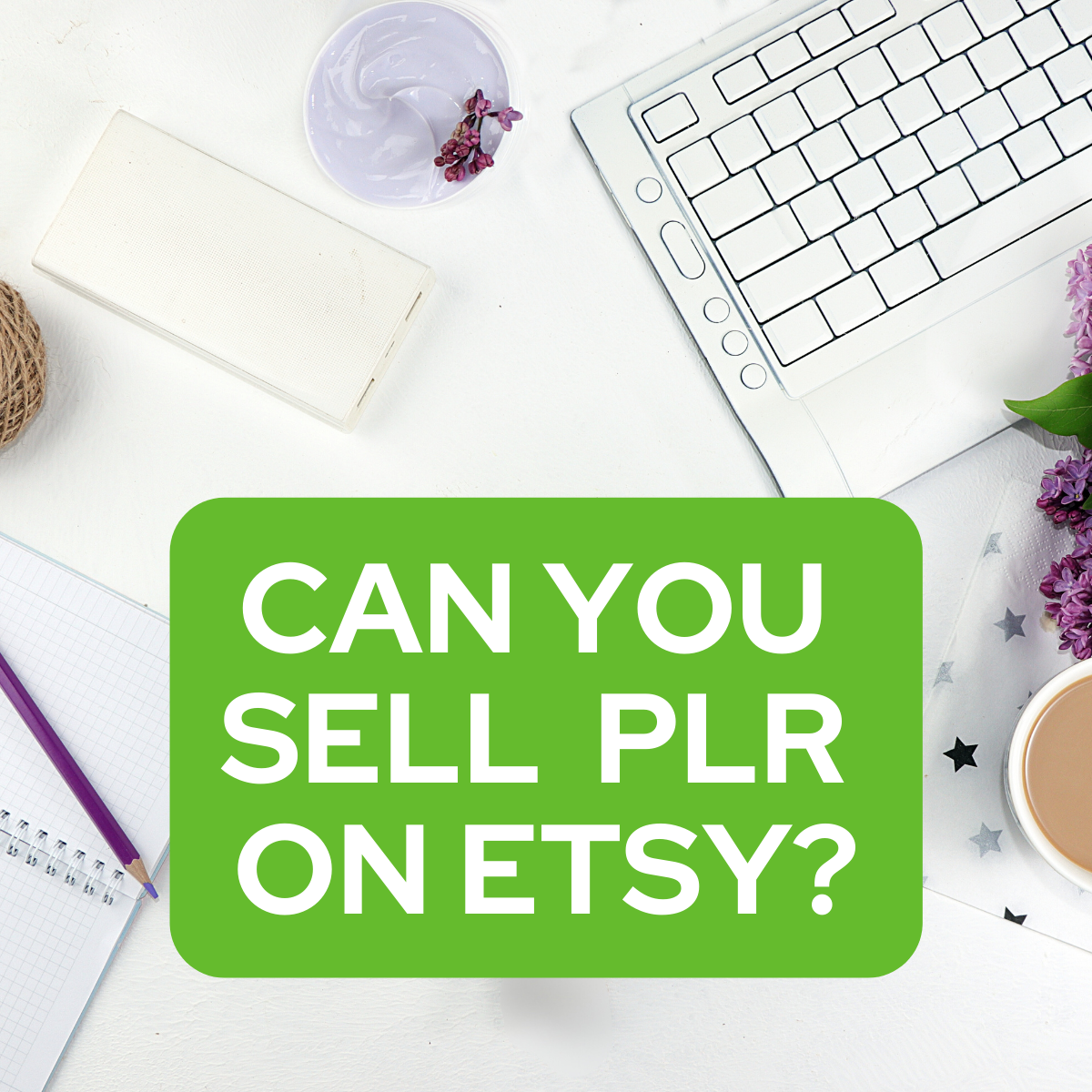 Can you Sell PLR on Etsy? | LittleHaloJ