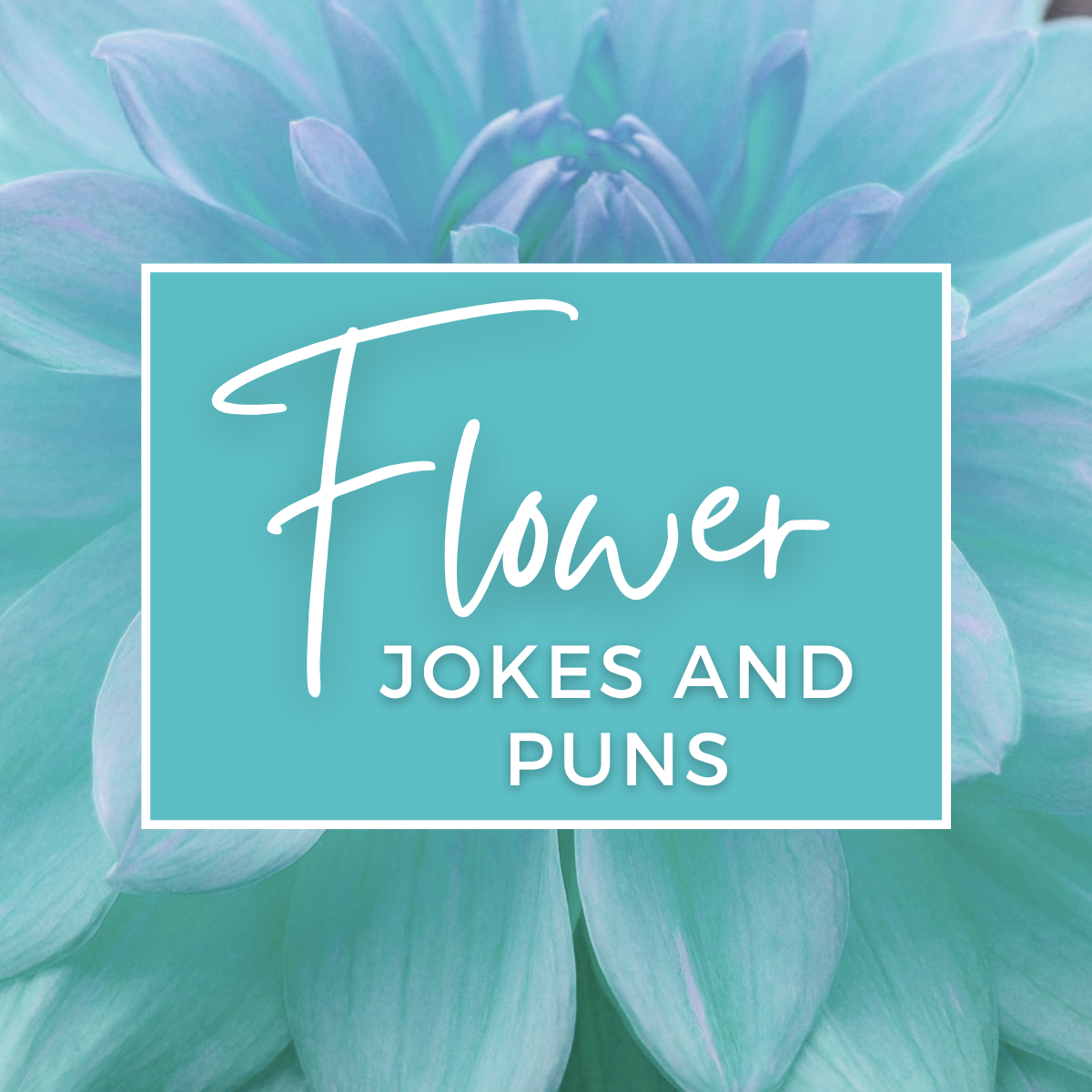 Laugh Your Petals Off: Funny Flower Jokes and Puns | LittleHaloJ