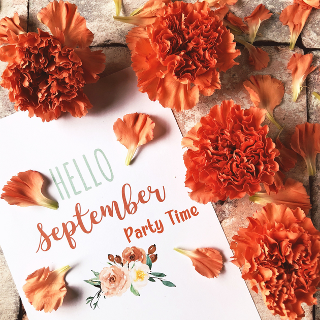 September Party Themes | LittleHaloJ