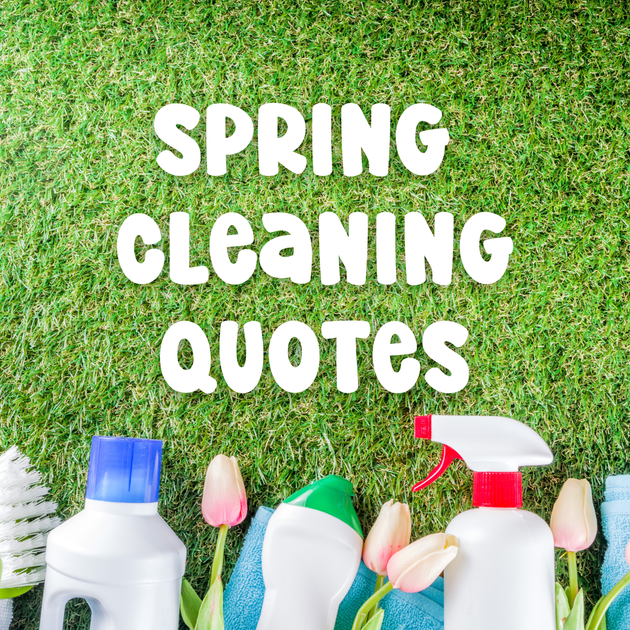 Spring Cleaning Quotes | LittleHaloJ